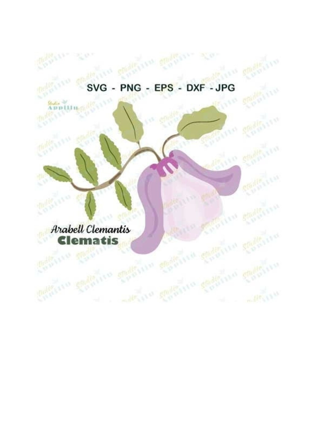 Flower SVG, Clematis SVG, Layered Flower SVG File, Clematis Vector Art ...
