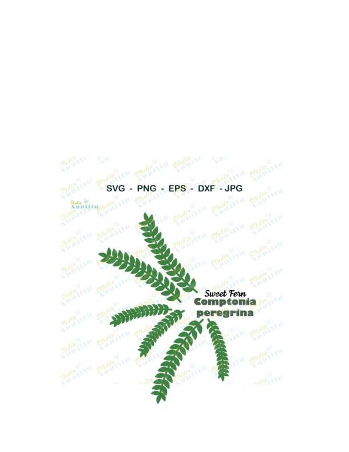 Fern SVG, Green Leaves SVG, Fern Leaves SVG File, Fern Leaves Vector ...