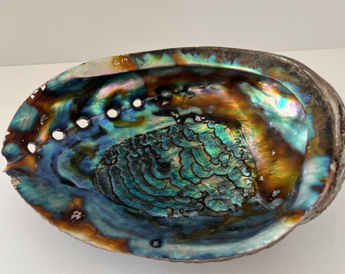 Iridescent/rainbow Large Abalone Shell, Natural Abalone Shell, Shell ...