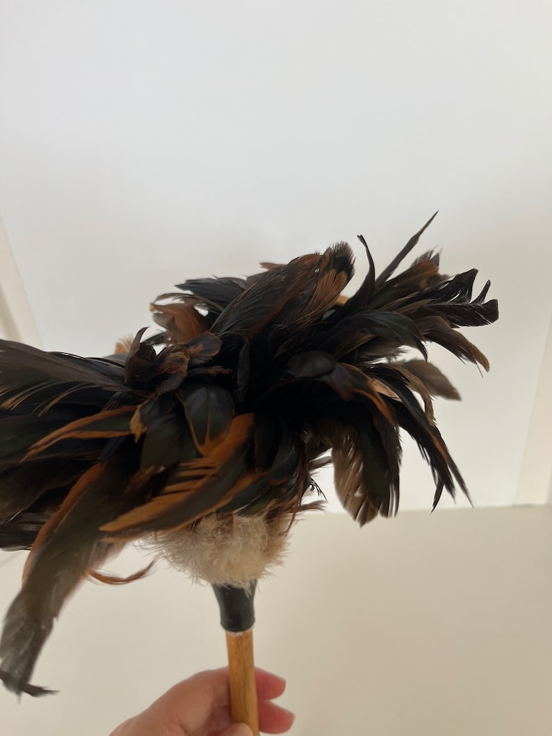 Vintage Victorian Ostrich Feather Duster With Wood Handle/dust Cleaner ...