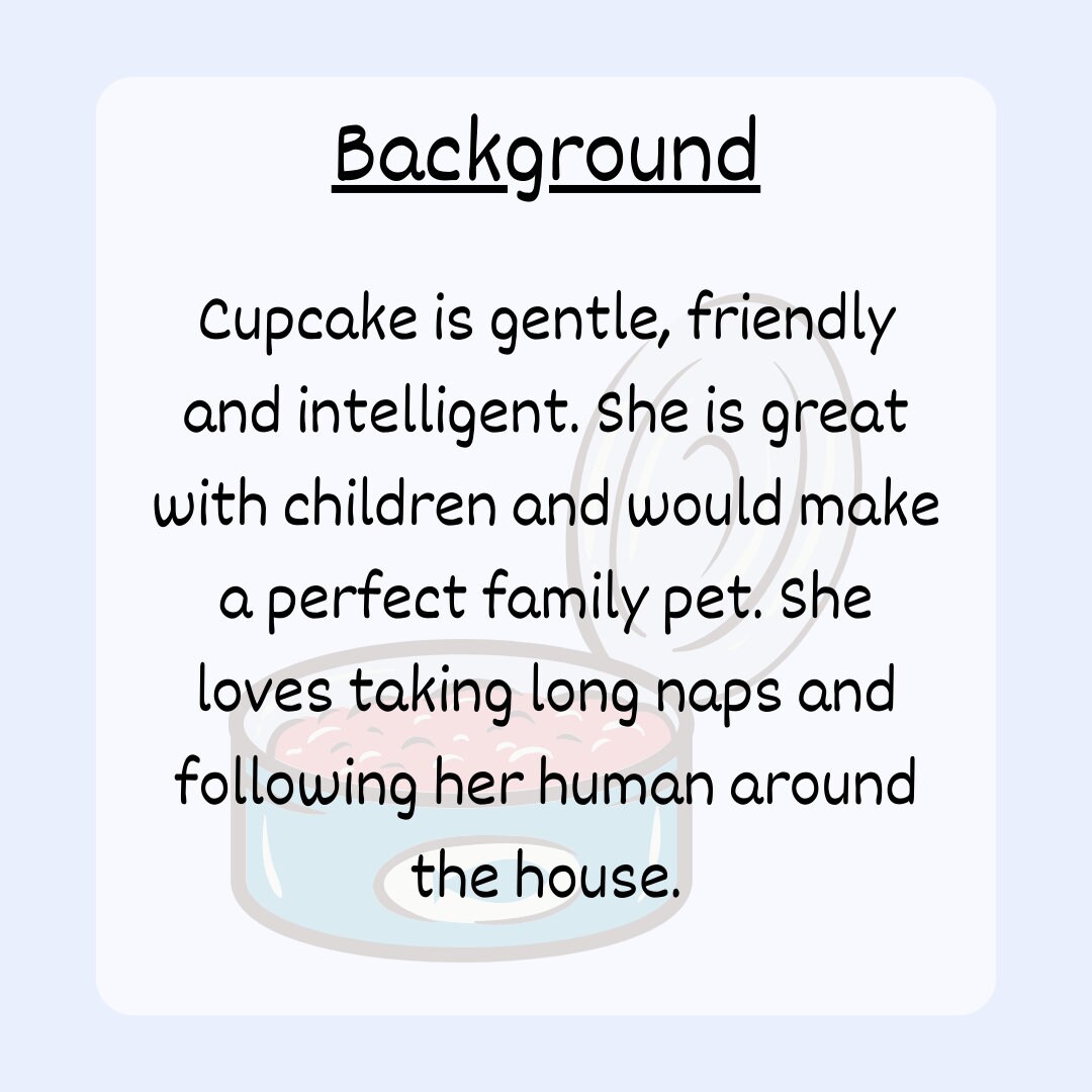 Cat Adoption Social Media Canva Templates, Animal Shelter Pet Profile ...