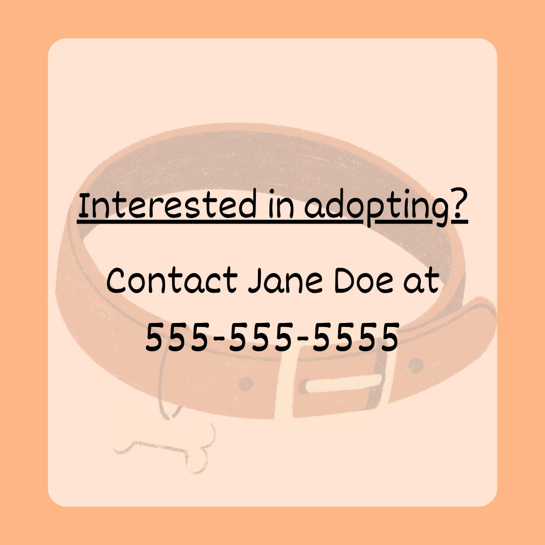 Dog Adoption Social Media Canva Templates, Animal Shelter Pet Profile ...