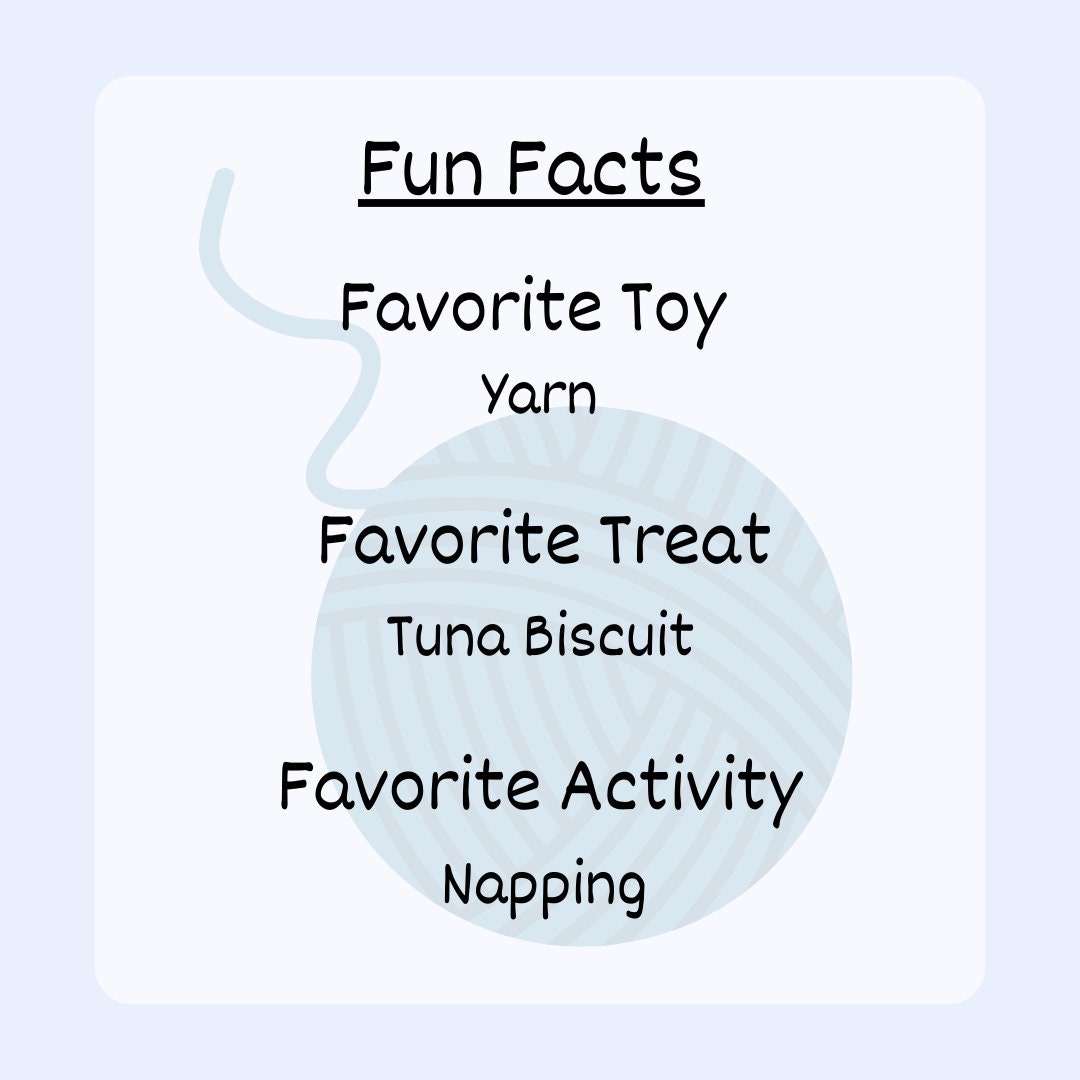 Cat Adoption Social Media Canva Templates, Animal Shelter Pet Profile ...