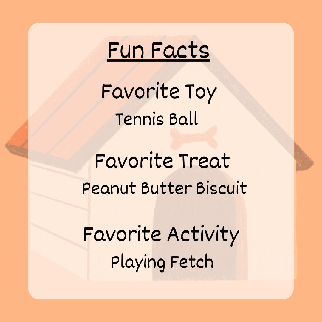 Dog Adoption Social Media Canva Templates, Animal Shelter Pet Profile ...