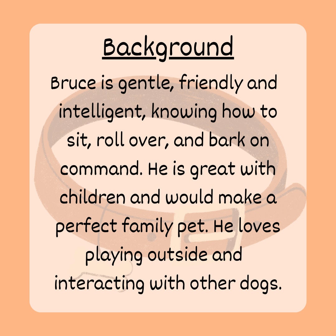Dog Adoption Social Media Canva Templates, Animal Shelter Pet Profile ...