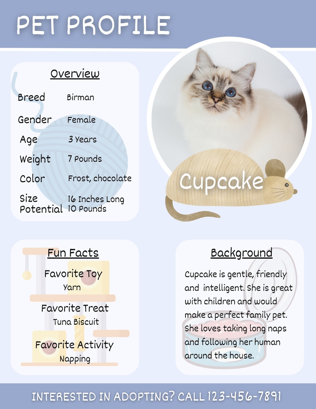 Cat Adoption Fact Sheet Canva Template, Animal Shelter, Pet Adoption ...