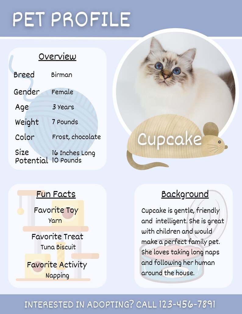 Cat Adoption Fact Sheet Canva Template, Animal Shelter, Pet Adoption ...