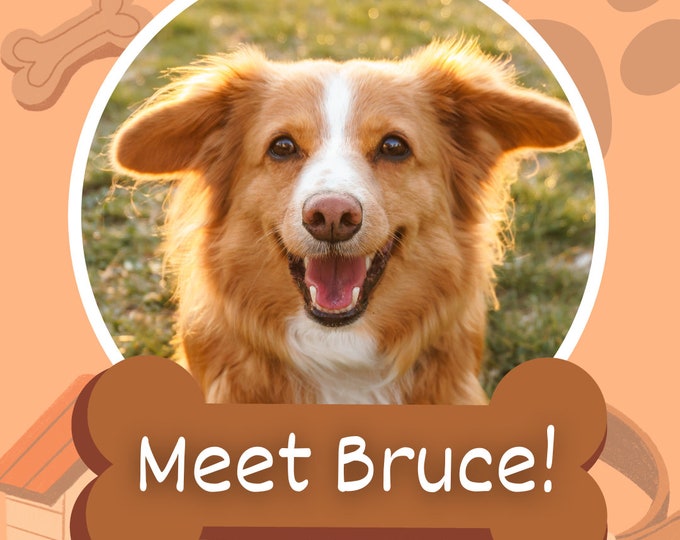 Dog Adoption Fact Sheet Canva Template, Animal Shelter, Pet Adoption ...