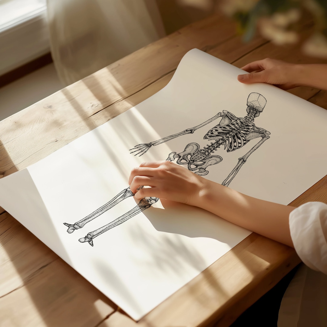 Posterior Skeleton | Human Anatomy Prints | Clinically Accurate ...