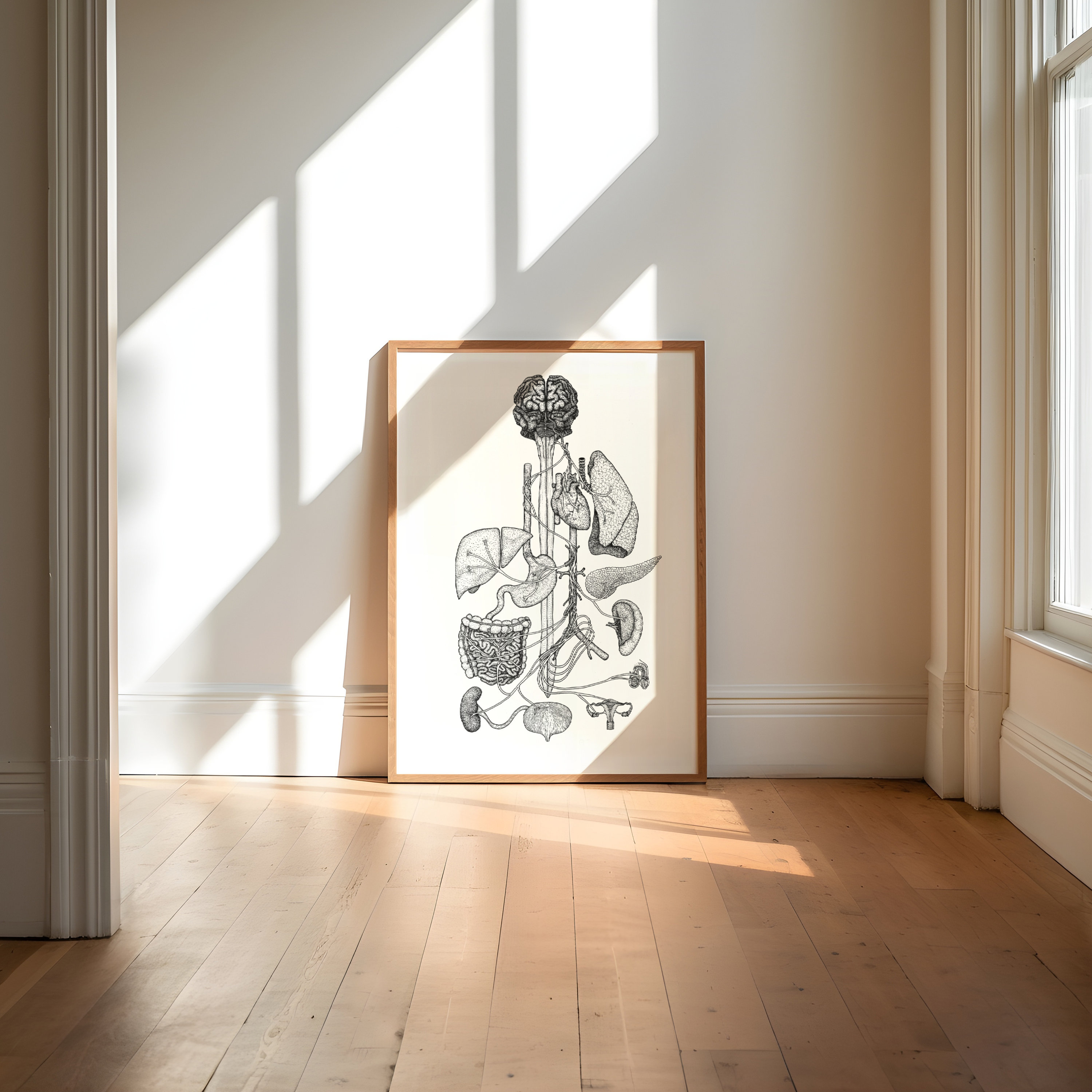 Vagus Nerve Human Anatomy Print | Medical Decoration Wall Decor ...