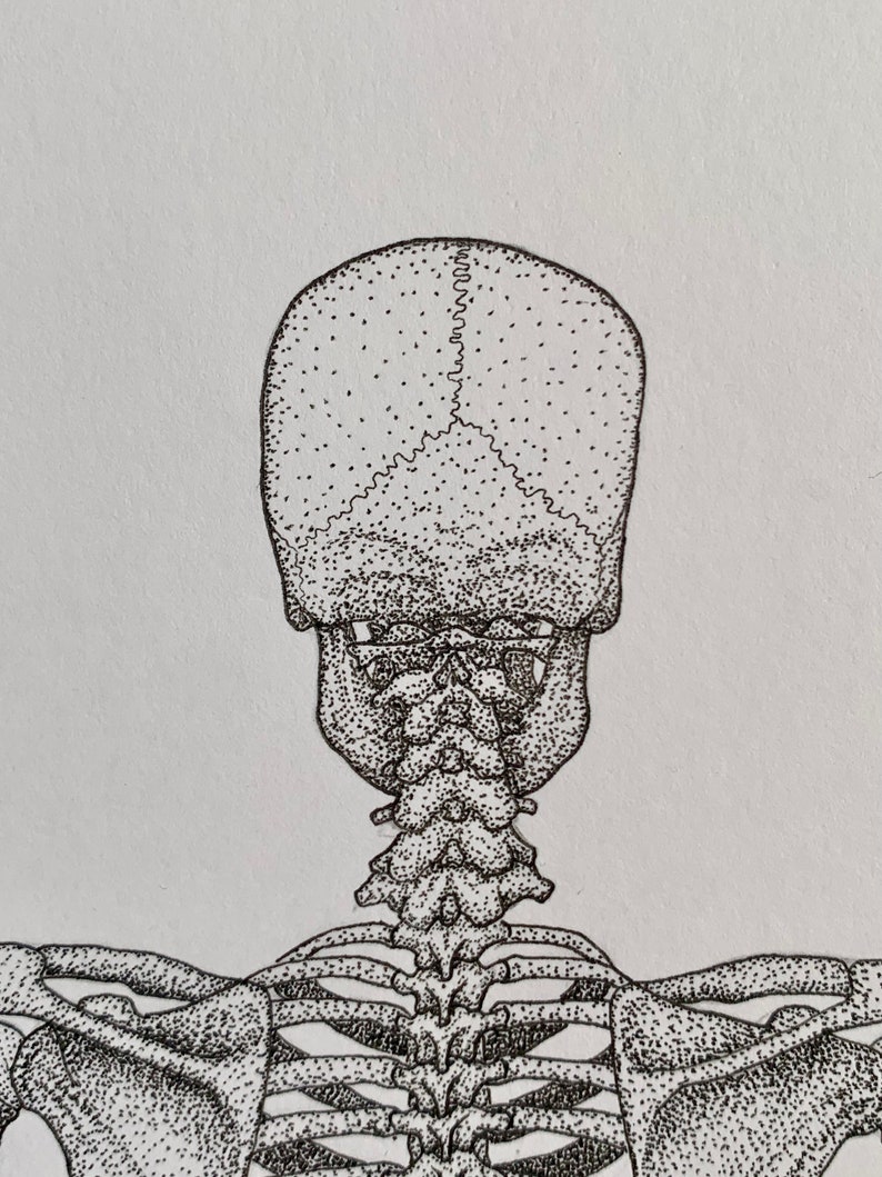 Skeleton Human Anatomy Print | Medical Decoration Wall Decor | Nursing ...