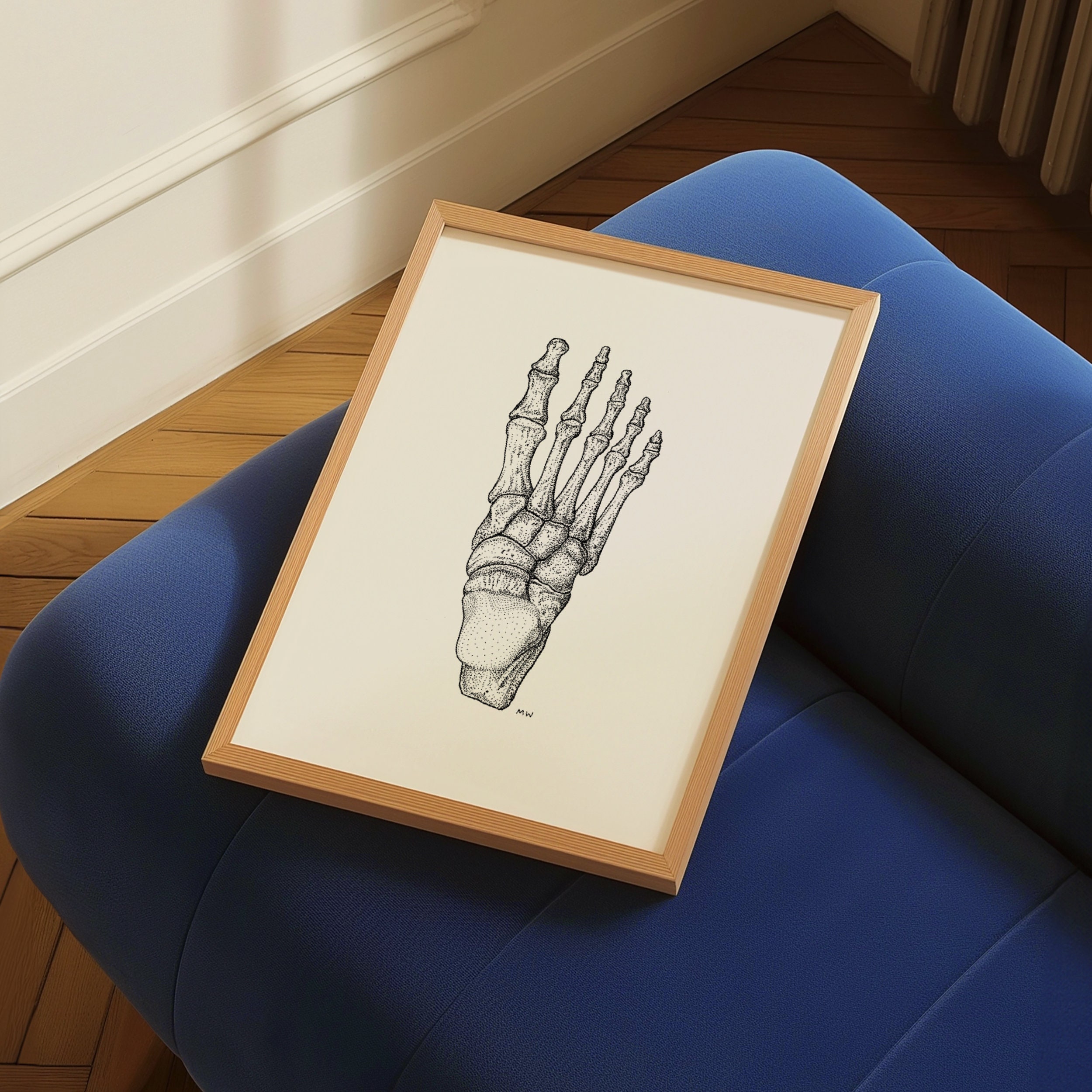 Bones of the Foot Anatomy Poster Print | Clinic Decor Wall Hangings ...