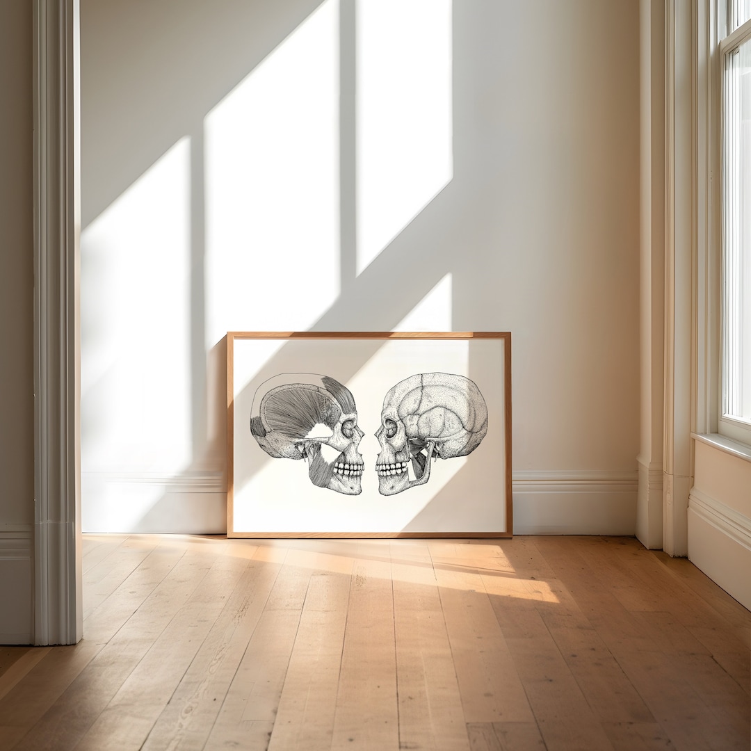 Muscles of Mastication Human Anatomy Print Medical Poster Wall Decor ...