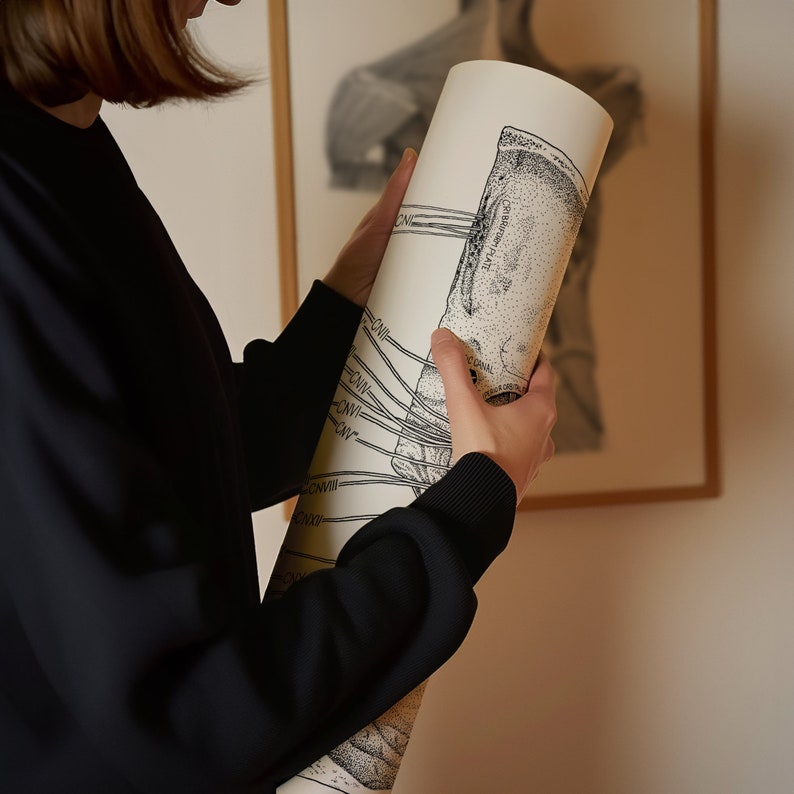 Cranial Nerves Human Anatomy Print | Medical Decoration Wall Decor ...