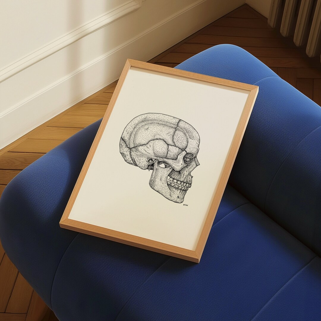 Skull Lateral Anatomy Poster Print | Clinic Decor Wall Hangings ...