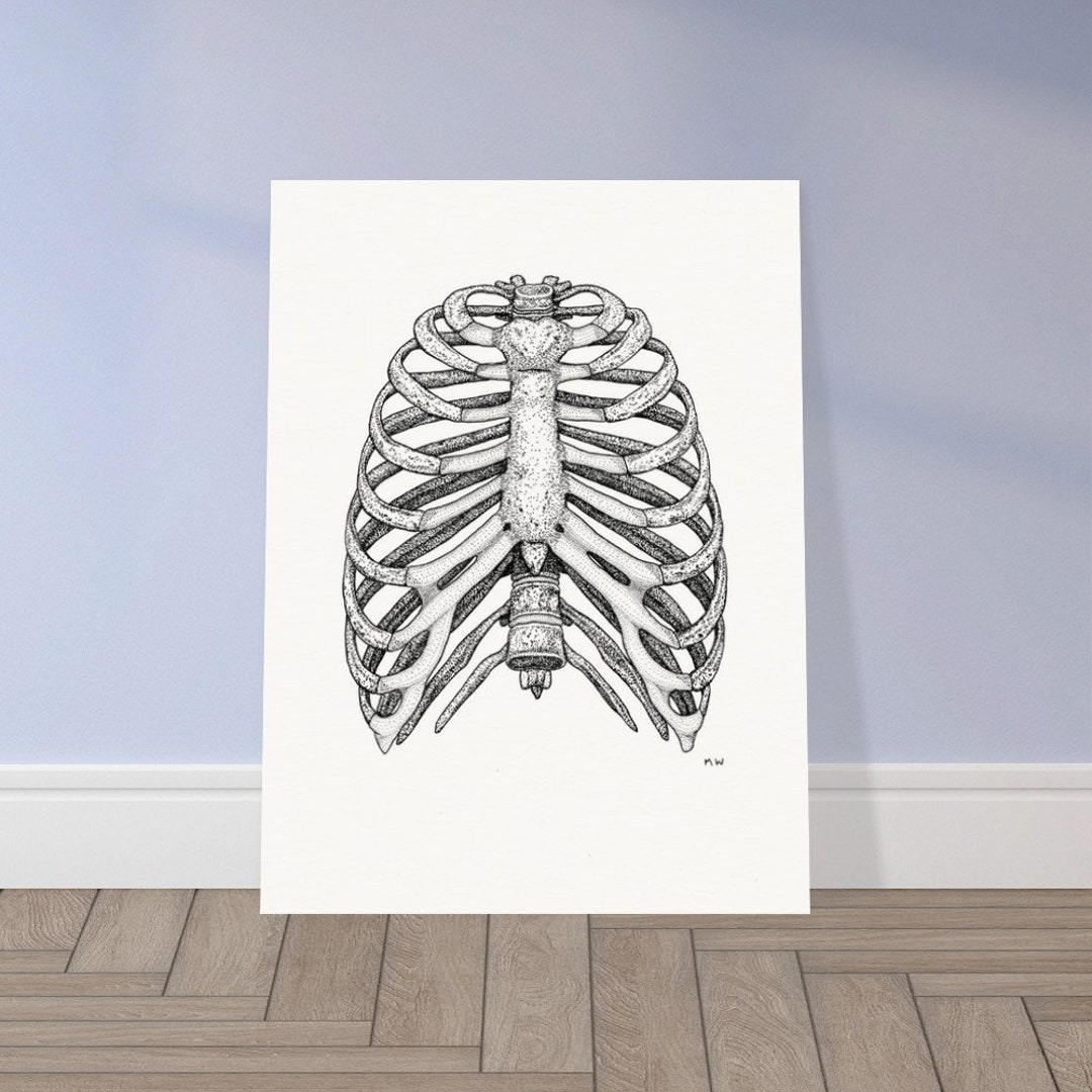 Mini Series: Anterior Rib Cage Human Anatomy Prints Clinically Accurate ...