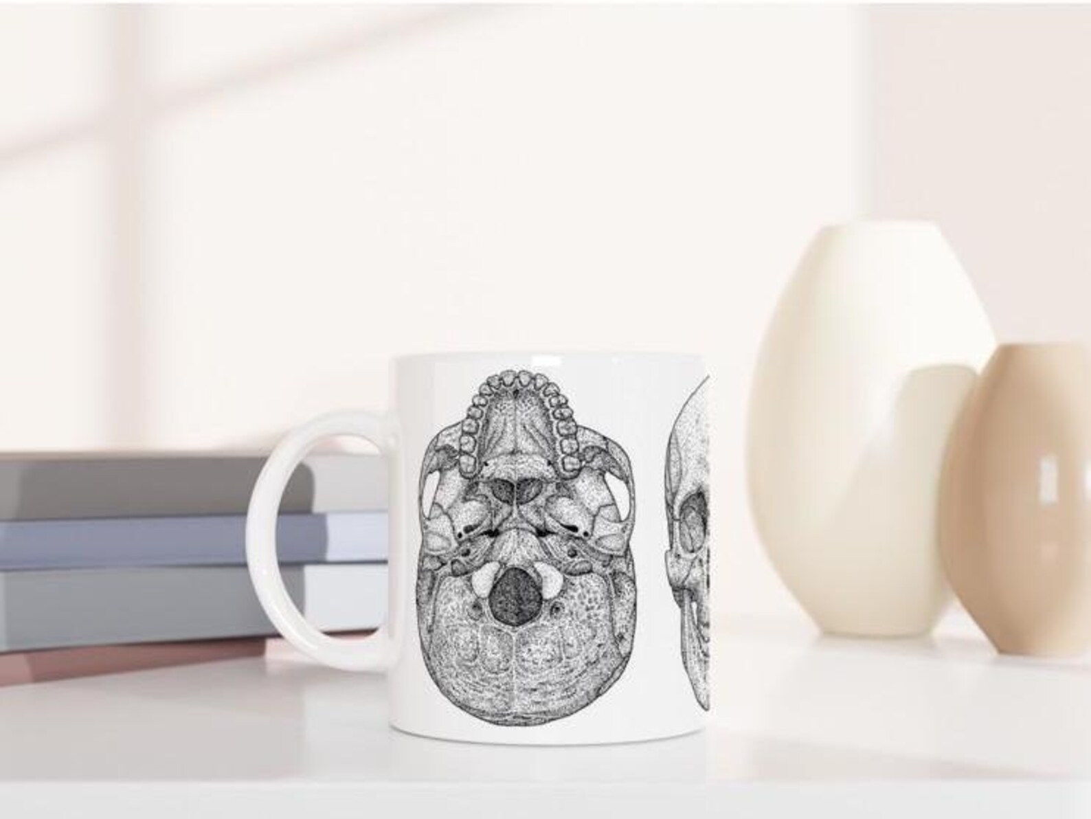 Skull Anatomy Mug White Ceramic | Medical Illustration | Anatomy Clinic ...