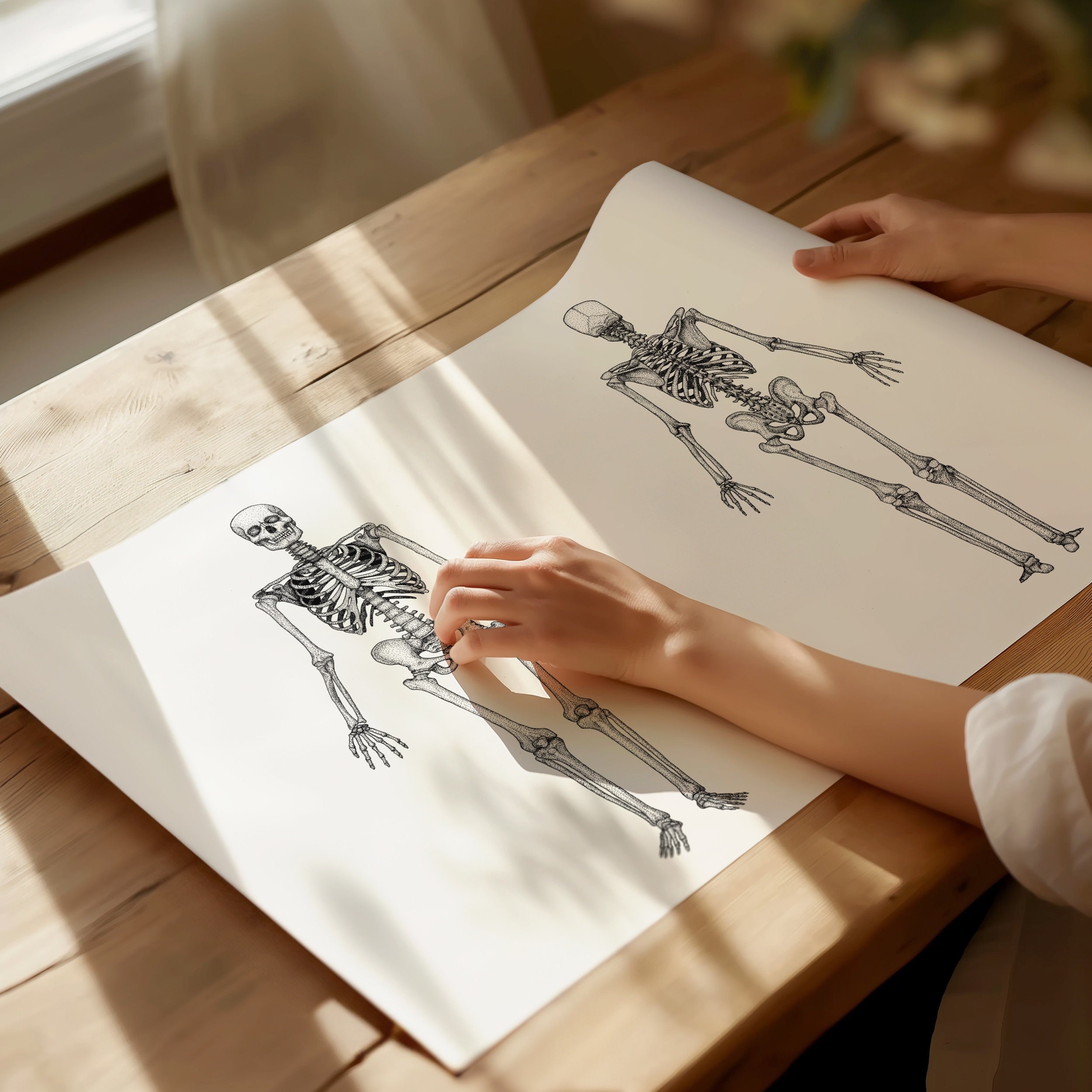 Skeleton Human Anatomy Print | Medical Decoration Wall Decor | Nursing ...