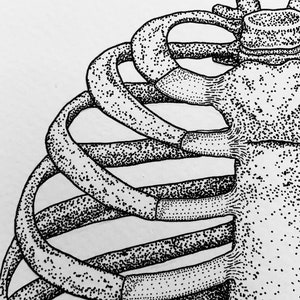 Rib Cage Human Anatomy Print | Medical Decoration Wall Decor | Teacher ...