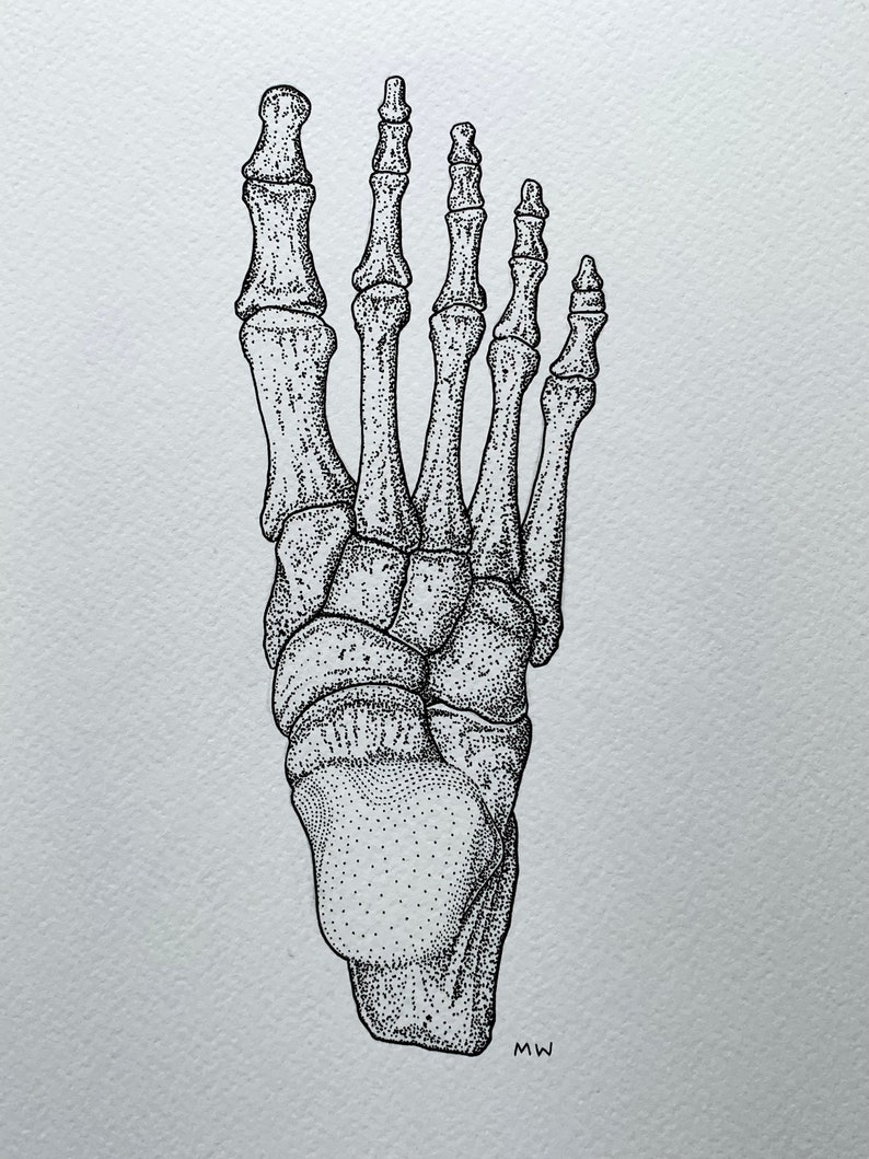 Bones of the Foot Anatomy Poster Print Clinic Decor Wall Hangings ...