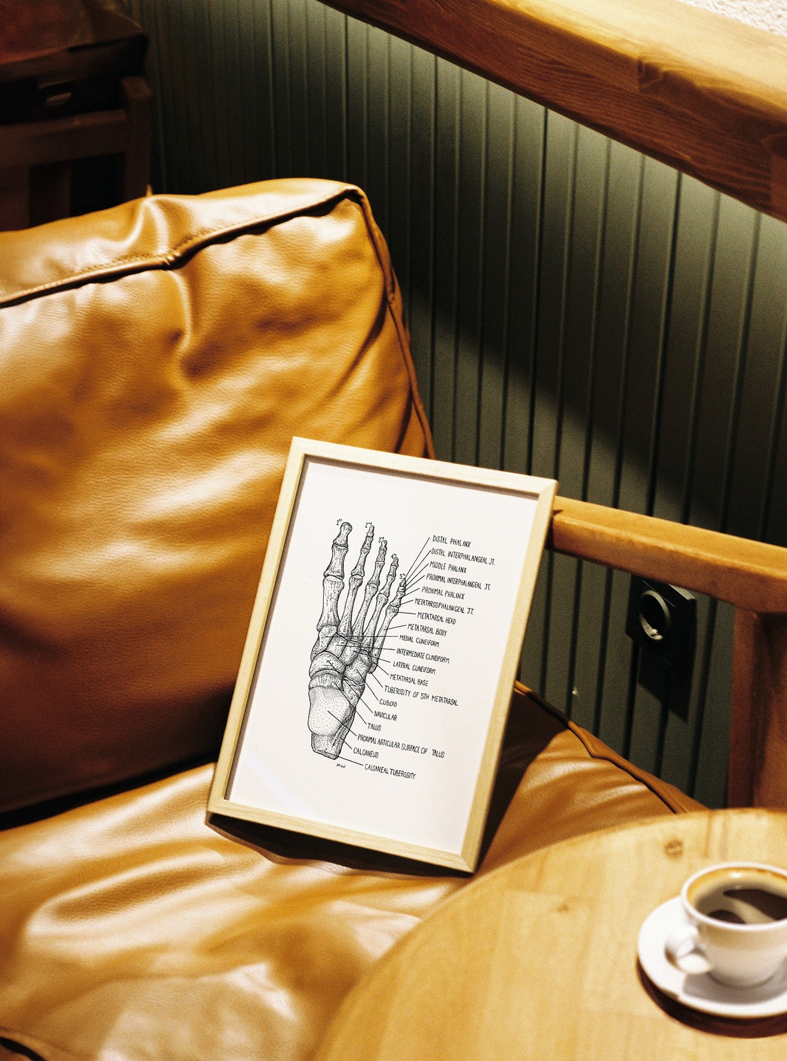 Bones of the Foot Human Anatomy Print Medical Decoration Wall Decor ...