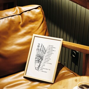 Bones of the Foot Human Anatomy Print | Medical Decoration Wall Decor ...