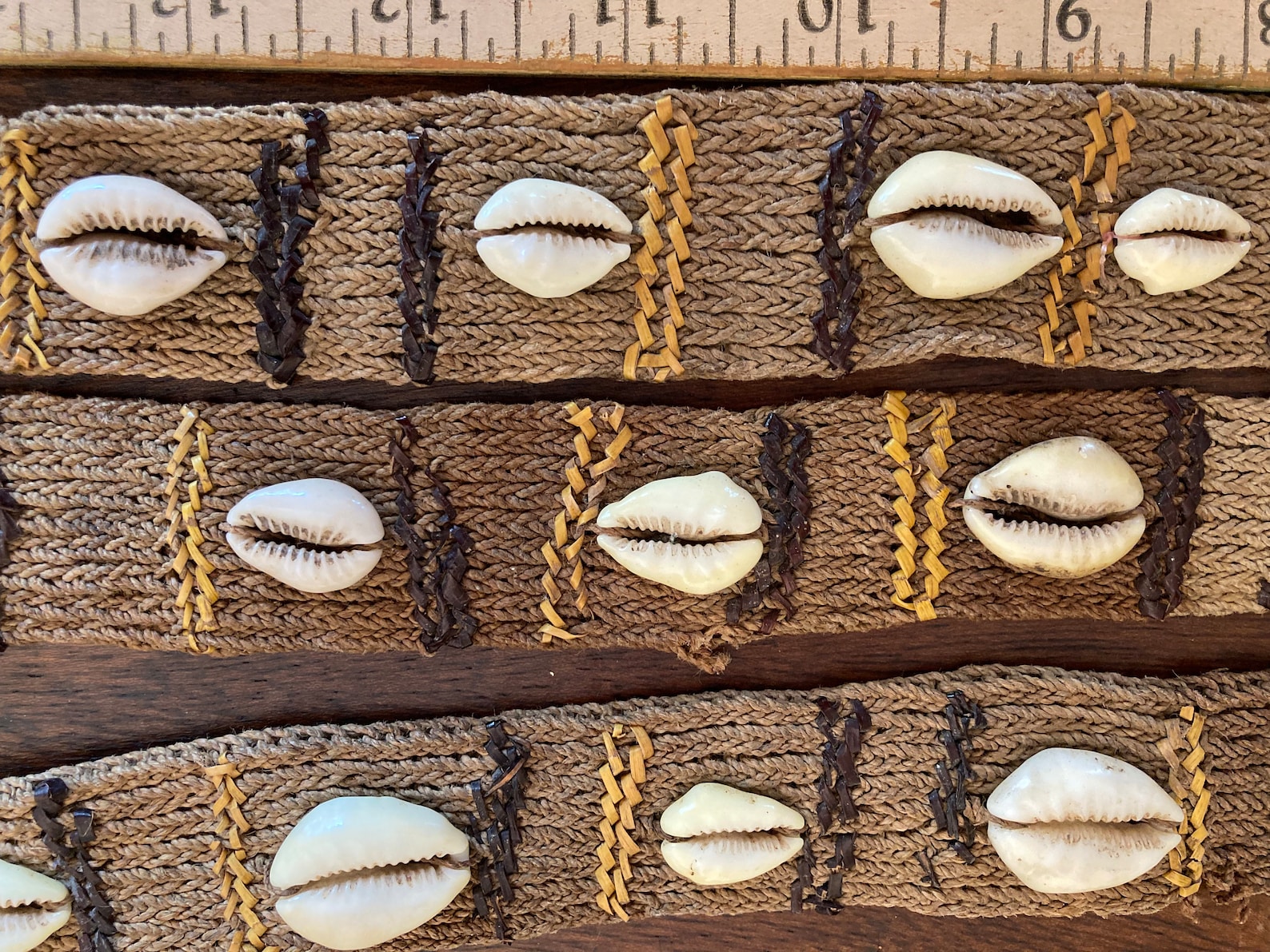 Cowrie Shell Belt From Papua New Guine - Etsy