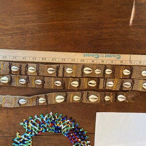 Cowrie Shell Belt From Papua New Guine - Etsy