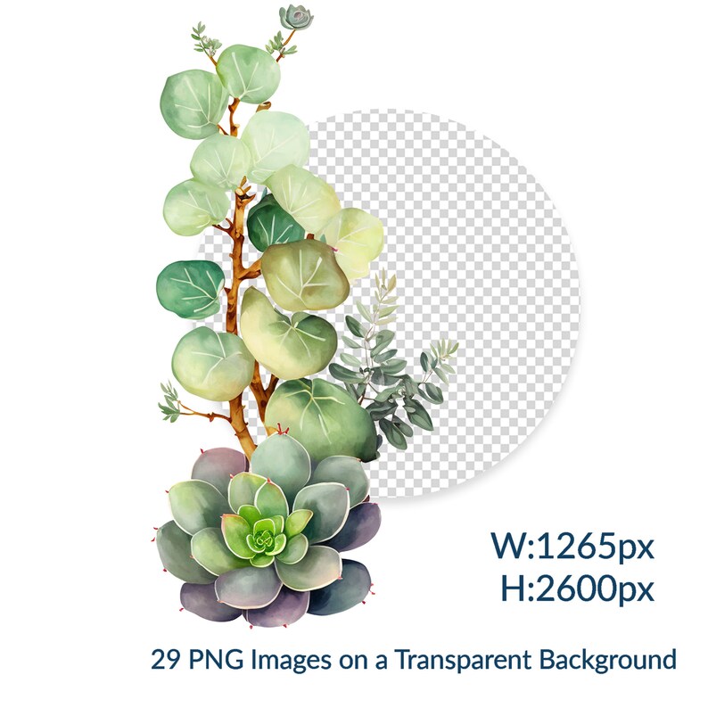 Watercolor Succulent Clipart, Succulents Clipart, Watercolor Clipart ...