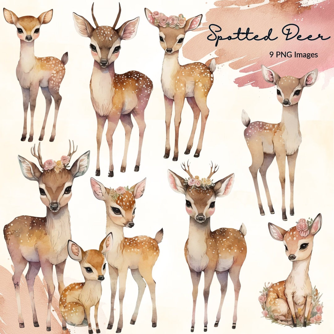 Watercolor Deer Clipart, Spotted Deer, Deer Clipart, Cute Deer Family ...