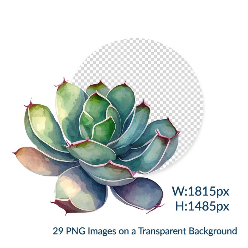 Watercolor Succulent Clipart, Succulents Clipart, Watercolor Clipart ...