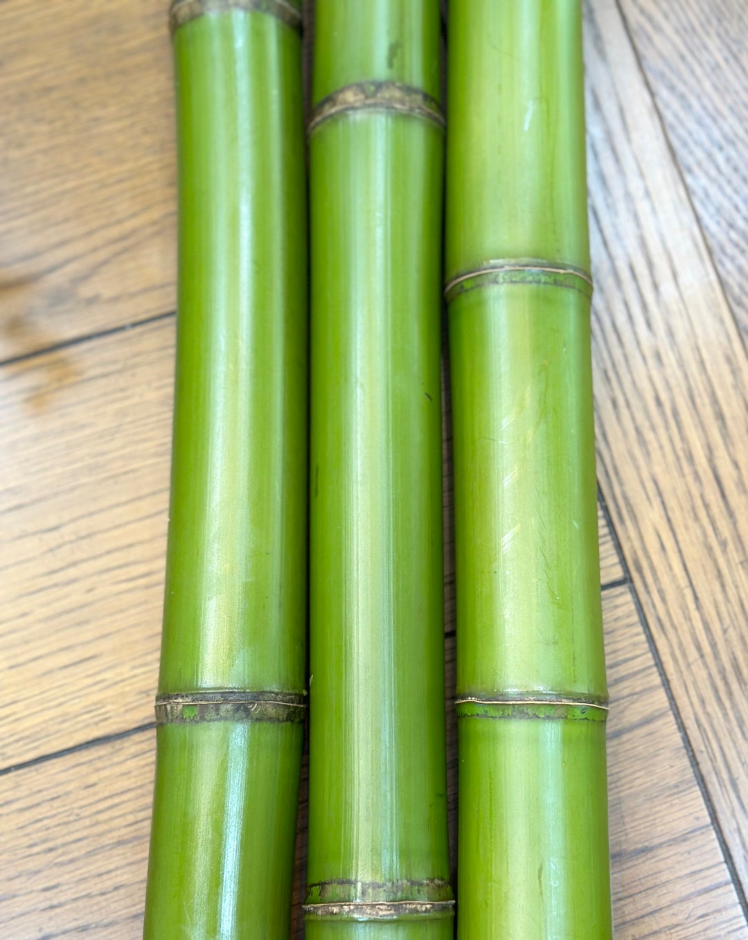 2” Fresh Cut Natural Bamboo for Decor (you Choose Length) 1ft - 8ft - Etsy
