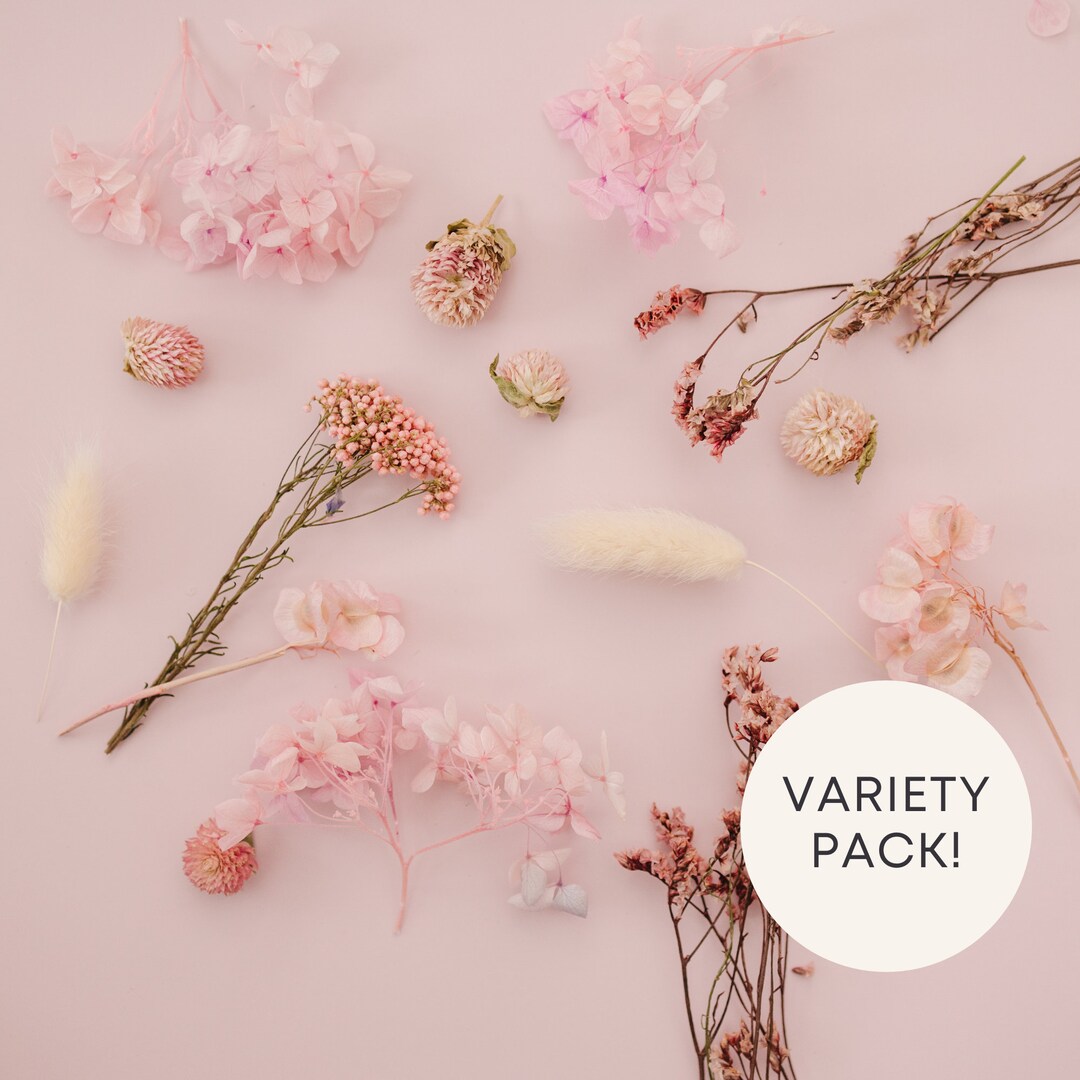 Bright and Soft Pink Dried Floral Set for Product Photography Props ...