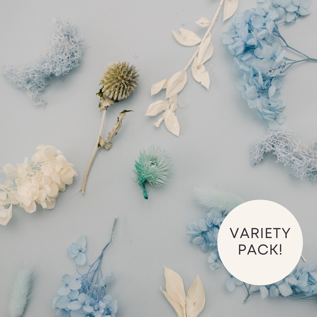 Blue and Cream Dried Floral Set for Product Photography Props | Boho ...