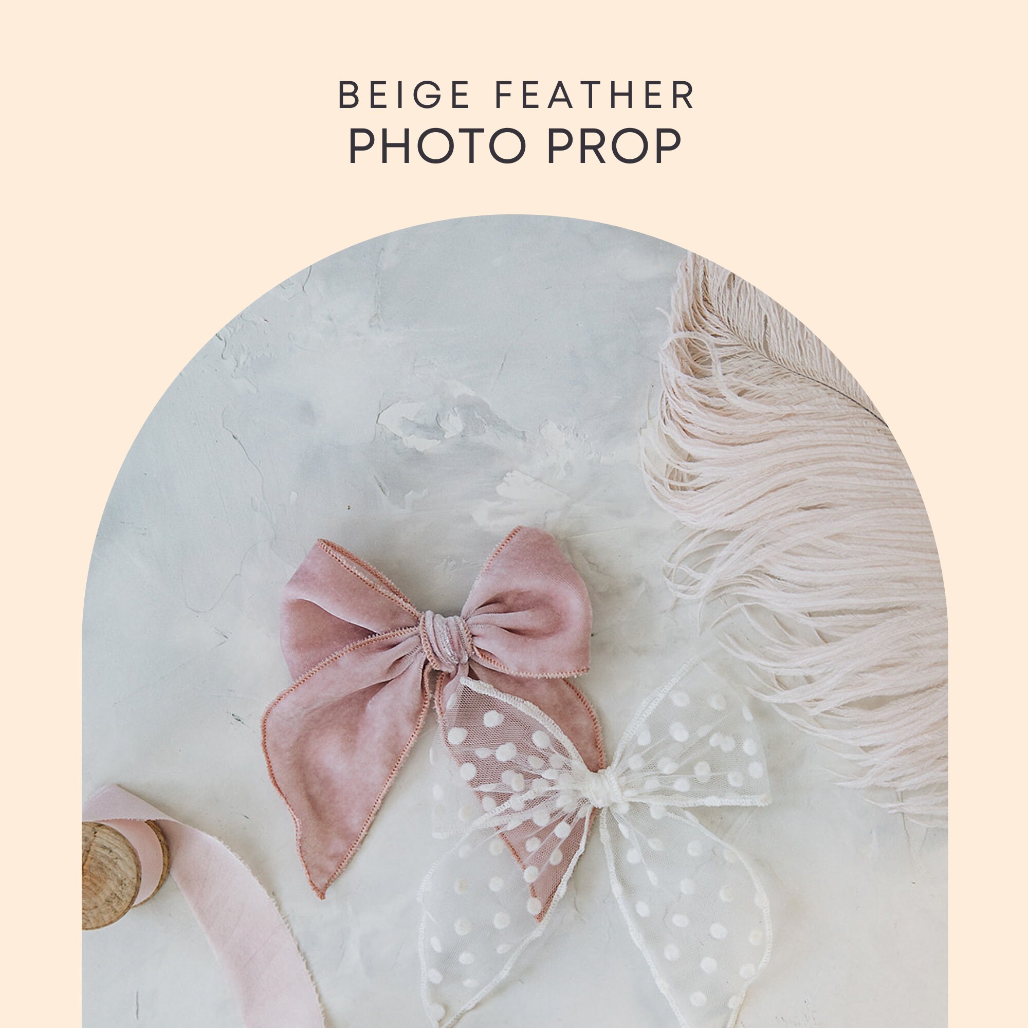 Set of 3 Natural Leather Ostrich Feather Product Photography Prop Add ...