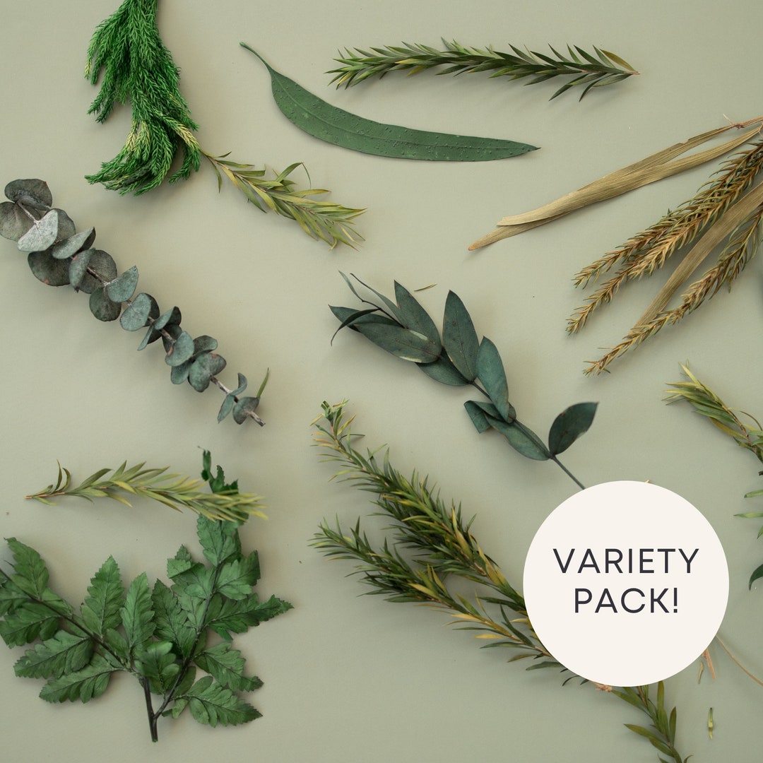 Greenery Dried Floral Set for Product Photography Props | Boho Photo ...