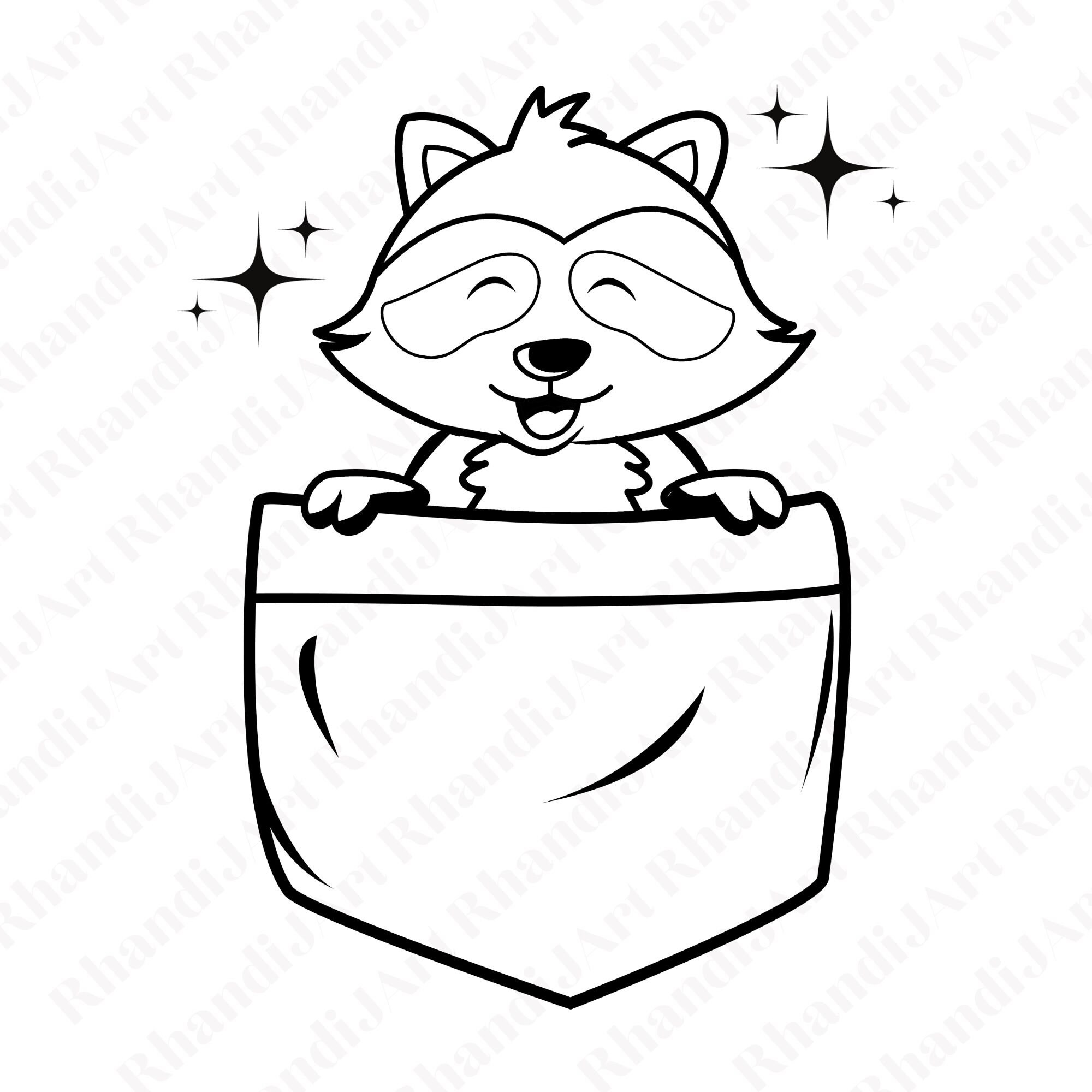 Pocket Raccoon , Raccoon , Pocket , Pocket Sized , Animal , Pocked Pet ...