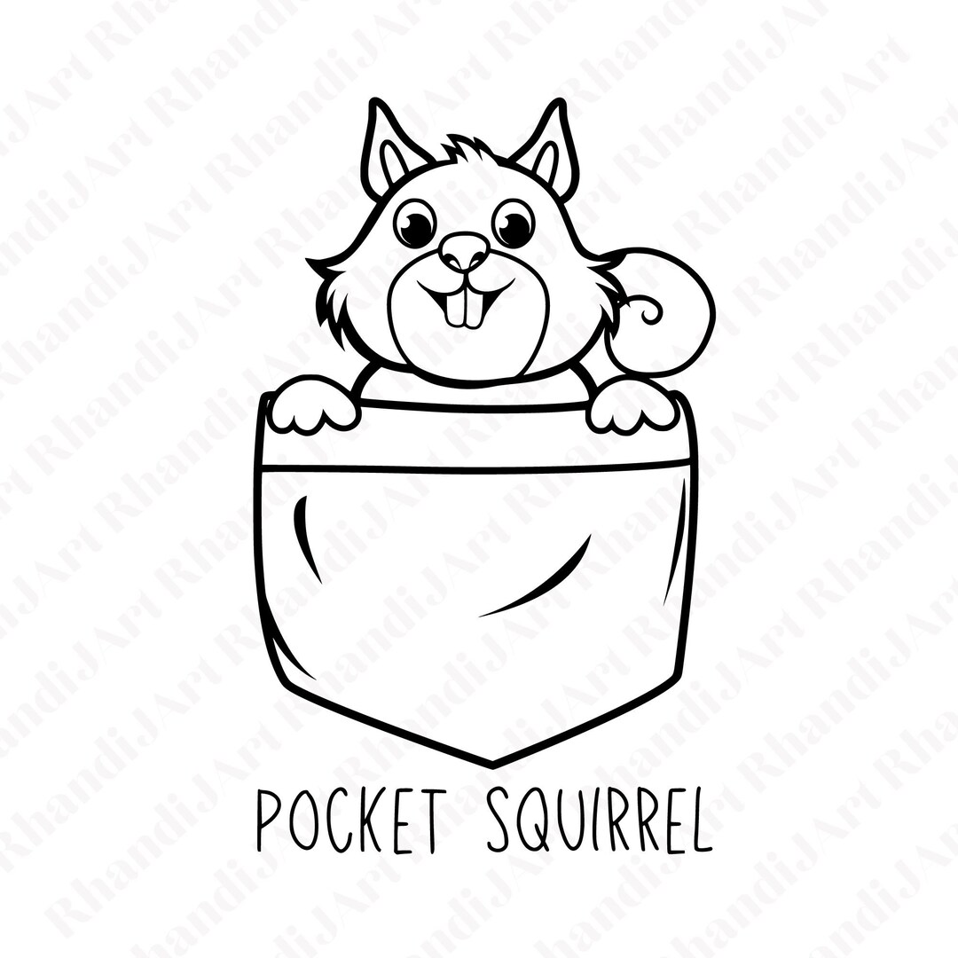 Original Pocket Squirrel, Squirrel Svg, Baby Squirrel, Squirrel Outline ...