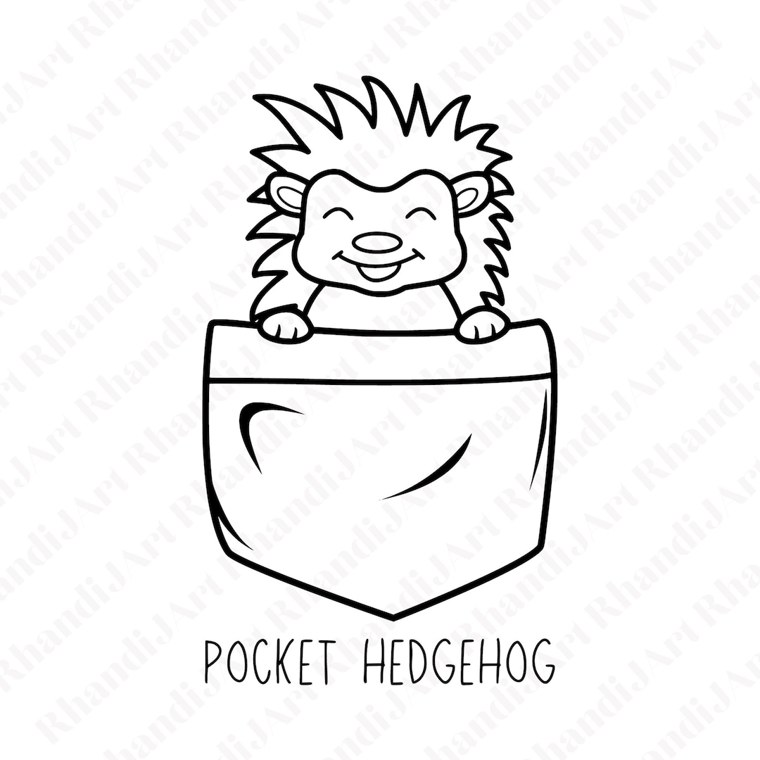 Original Pocket Hedgehog, Hedgehog Svg, Baby Hedgehog, Cute Hedgehog ...
