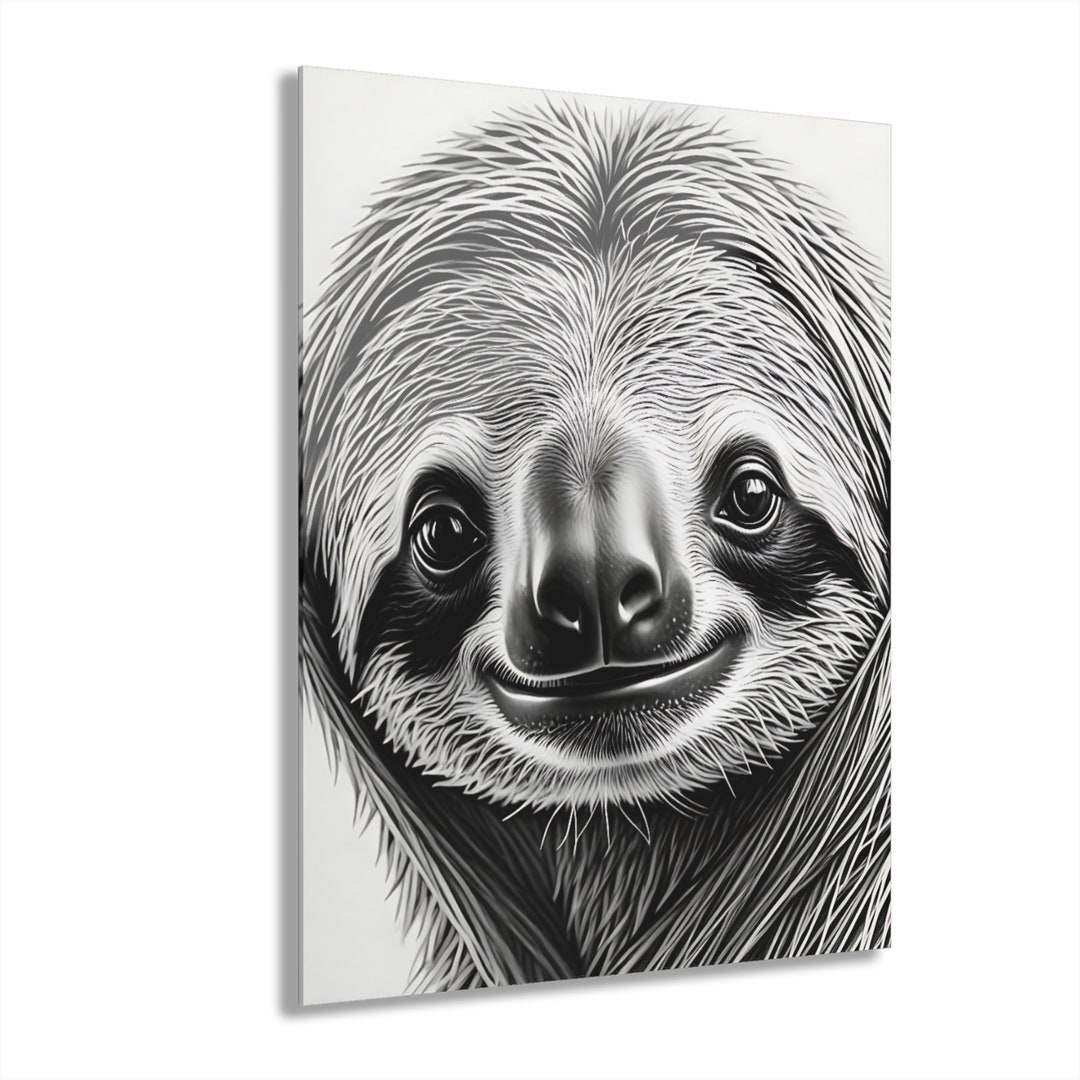 Acrylic Print of a Sloth | Cute Animal Wall Art | Nature Decor for Home ...