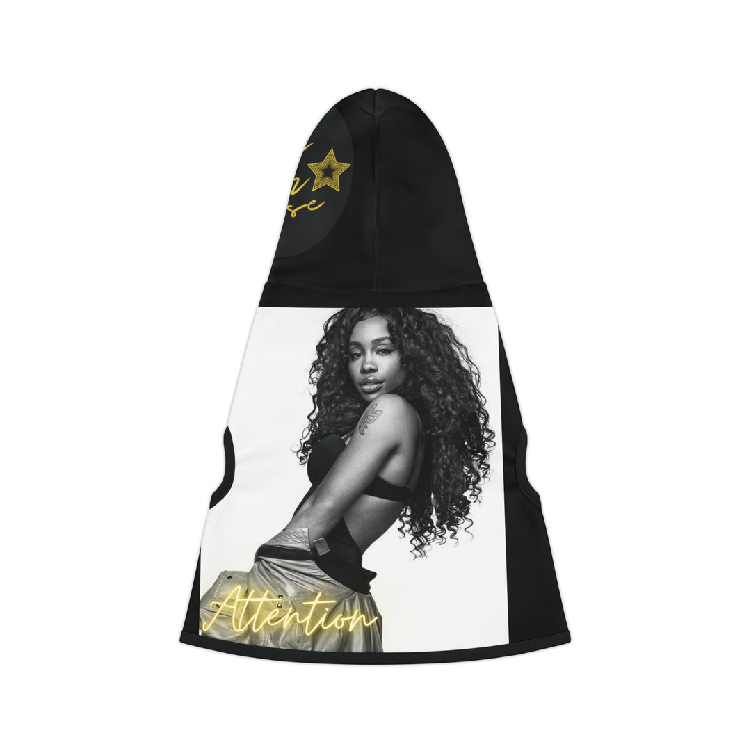 Doja Cat Attention Pet Hoodierapmusicfangear Hip Hop - Etsy