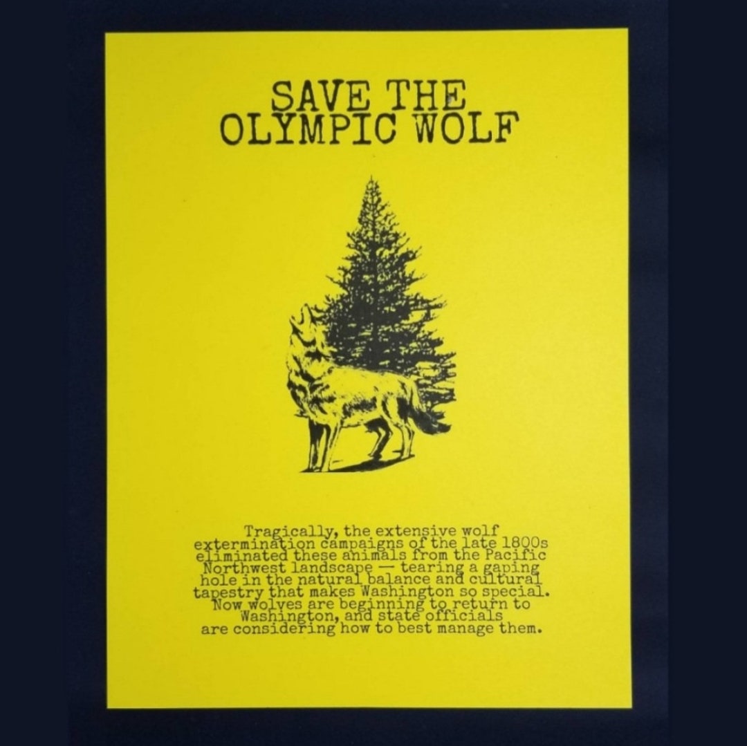 Save the Olympic Wolf Yellow Flyer From Eclipse Book Fan Art- READ ...