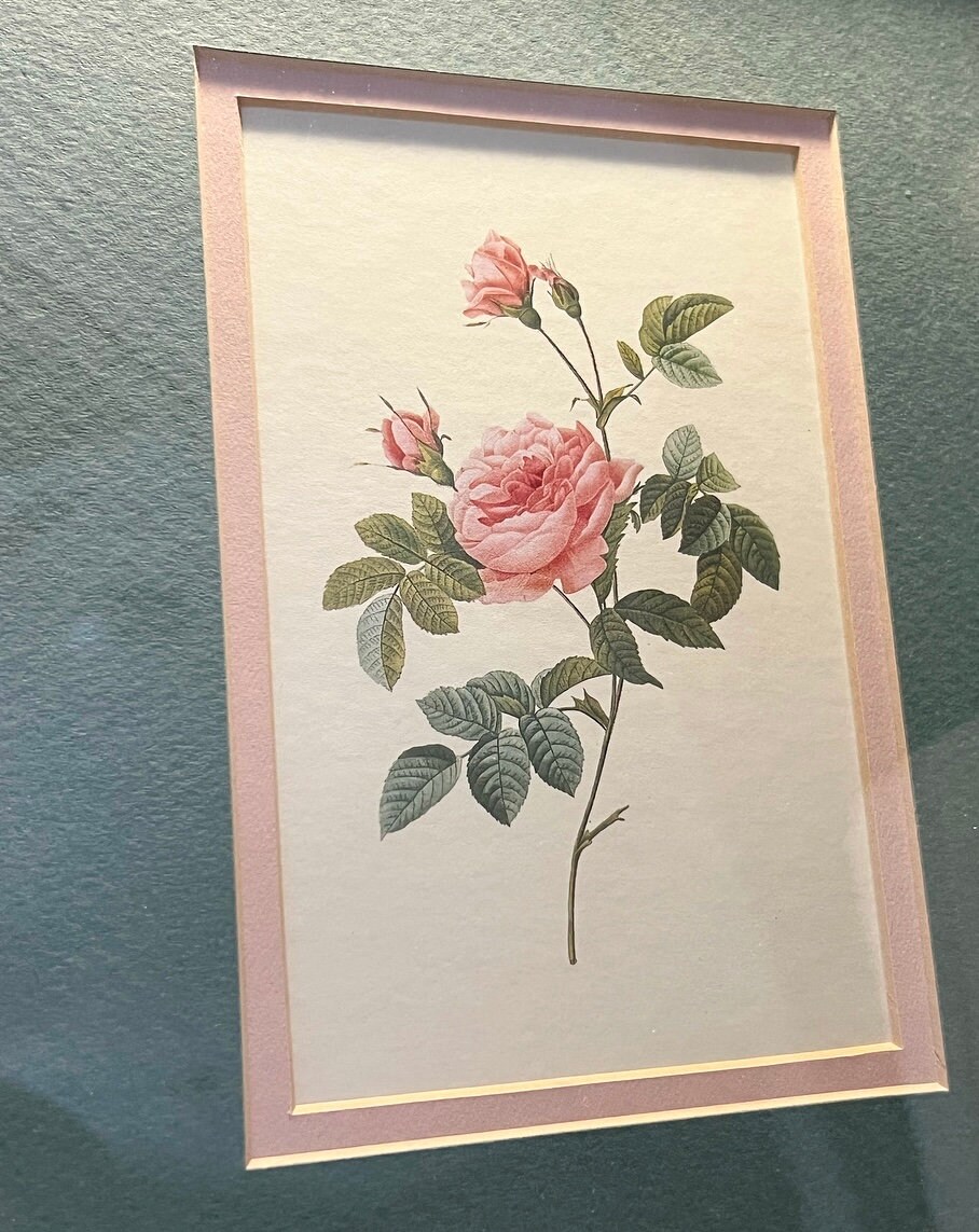 Vintage Gold Framed Cabbage Rose Art, Vintage Art, Matted Art, Vintage ...