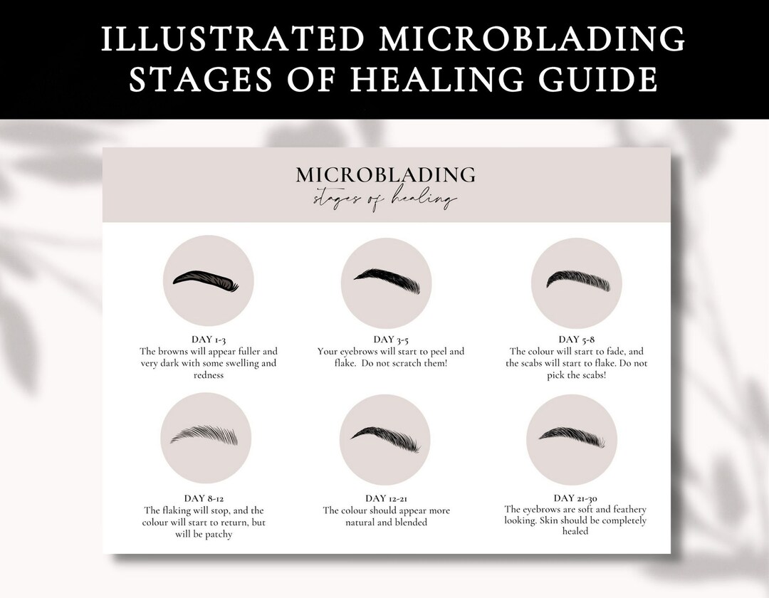 Microblading Stages of Healing Template | Microblading Artist Document ...