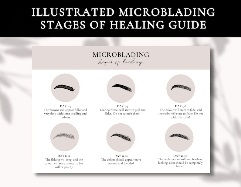Microblading Stages of Healing Template | Microblading Artist Document ...