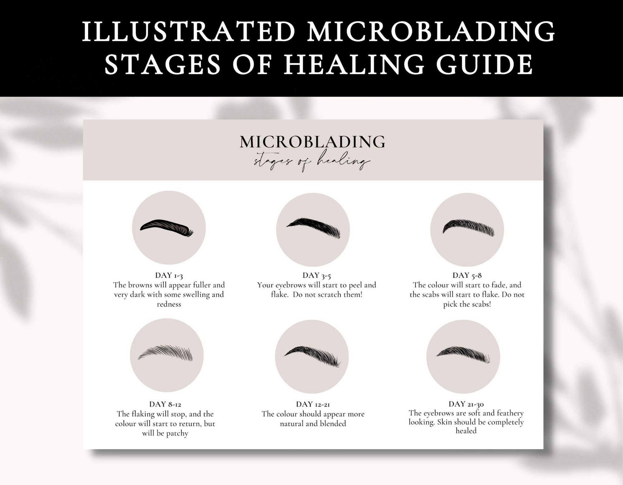 Microblading Stages of Healing Template Microblading Artist - Etsy UK