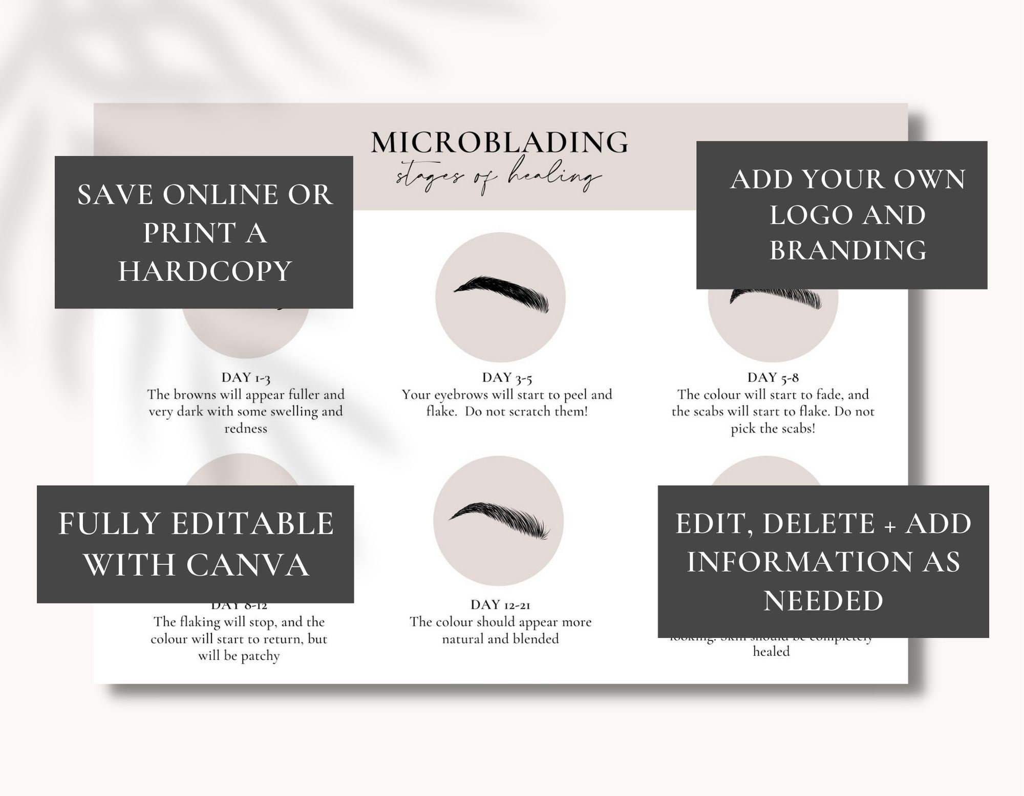 Microblading Stages of Healing Template Microblading Artist - Etsy UK