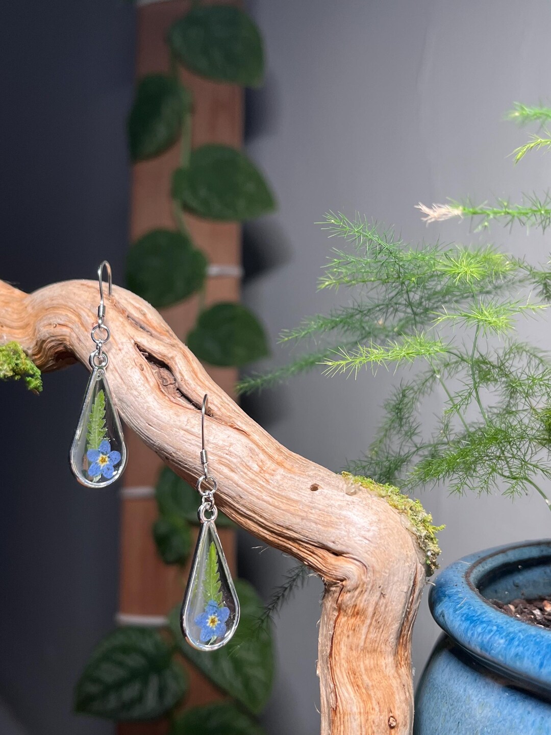 Real Preserved Forget Me Not & Fern Earrings - Handmade in Maine - Etsy