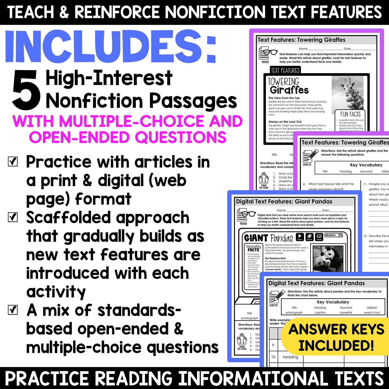 Nonfiction Text Features Worksheets, Informational Text, Reading ...