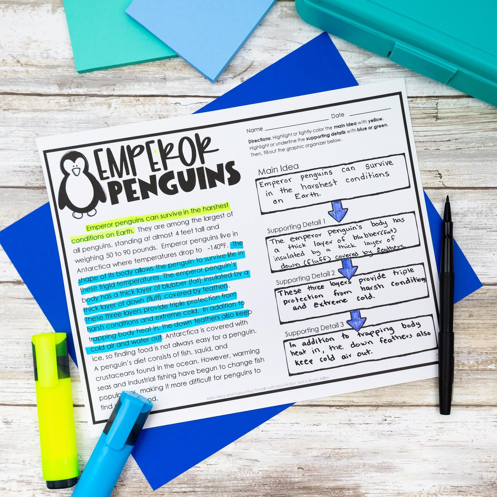 Main Idea and Supporting Details Worksheets Graphic Organizer Central ...